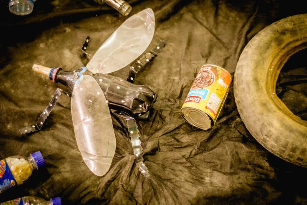 The Most Hated Creature on the Planet