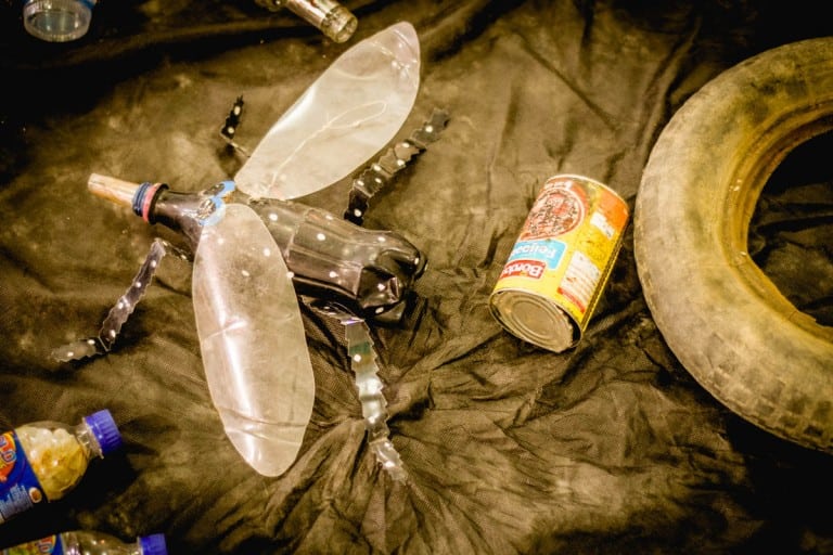 The Most Hated Creature on the Planet