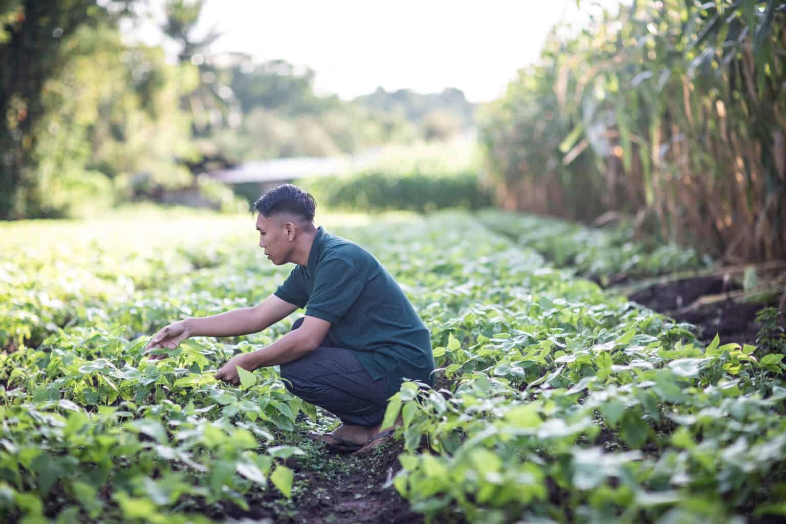 12 Bible Verses About Spreading the Gospel - Compassion International Blog